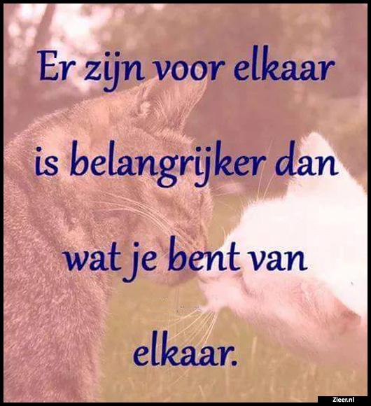 Er Zijn Voor Elkaar